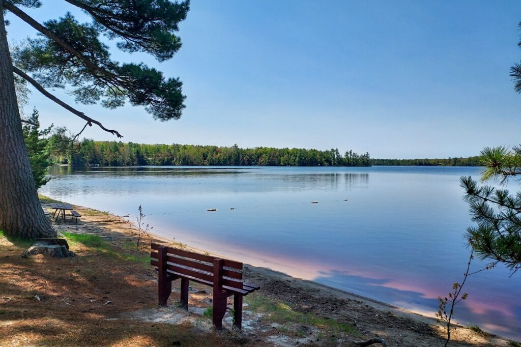 Wooded Escape near Summit Lake! Buildable Site w/ Driveway & Camping in ...